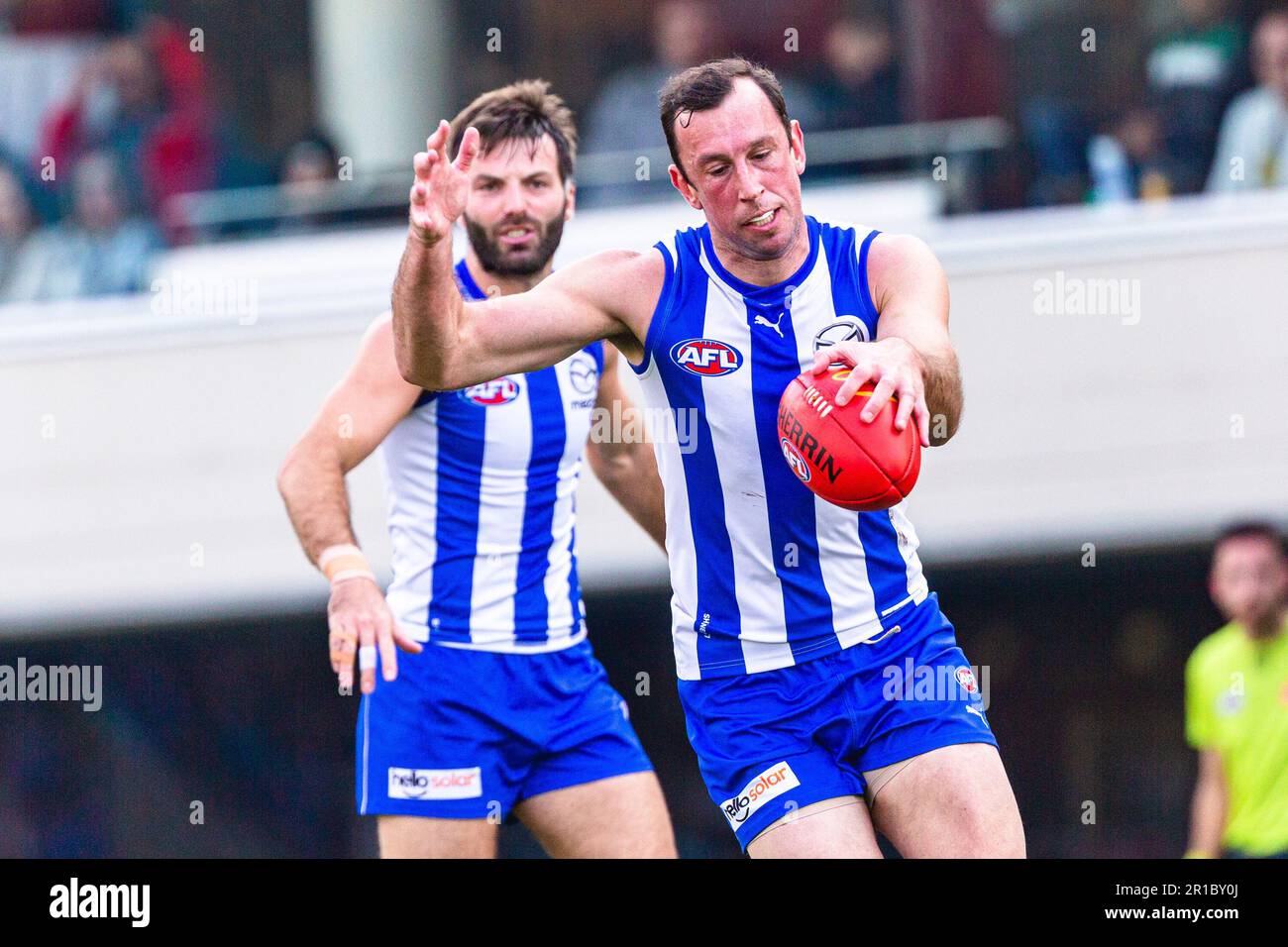Todd Goldstein of North Melbourne during the AFL Round 9 match between ...