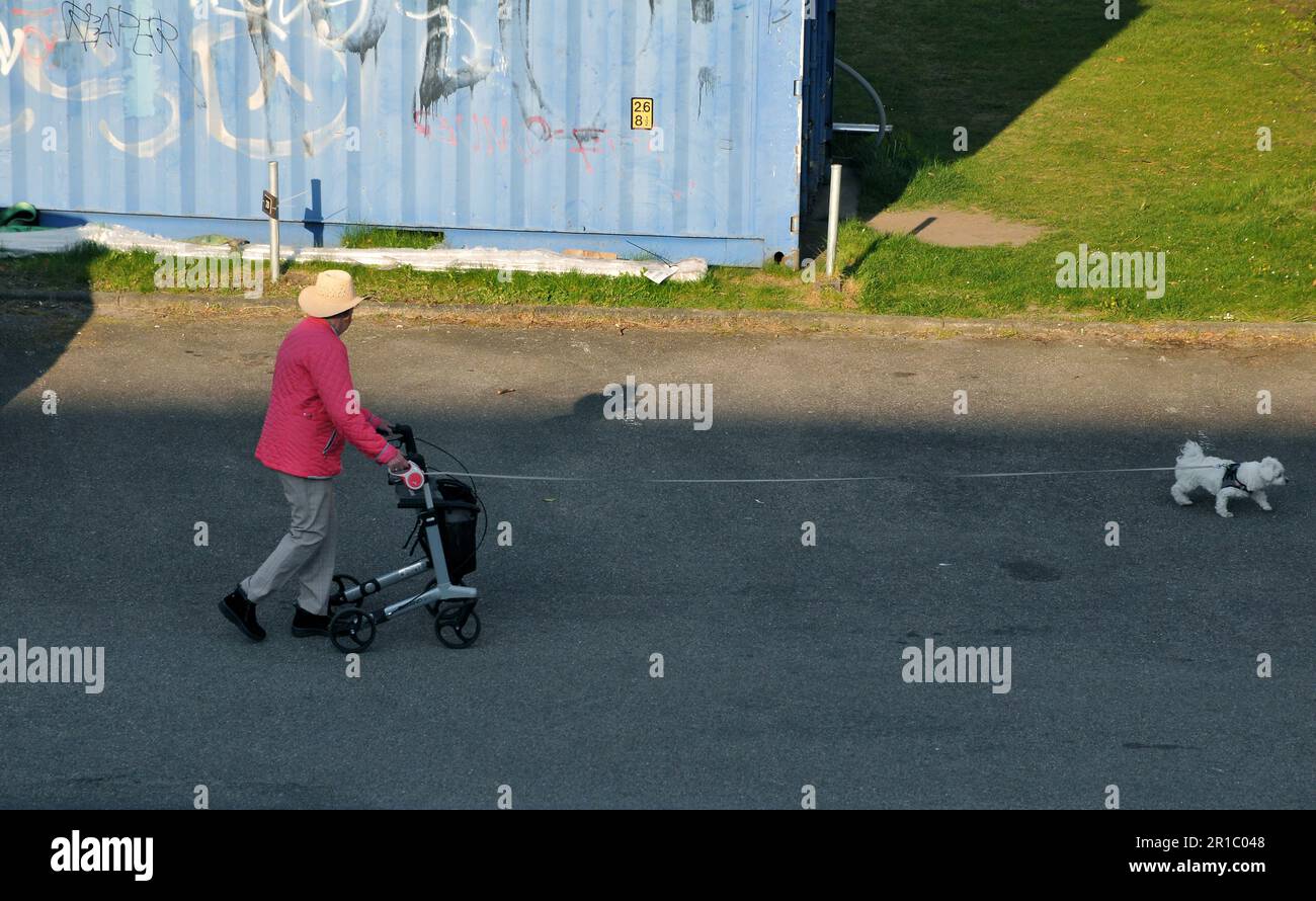 Senior citizxen hi-res stock photography and images - Alamy