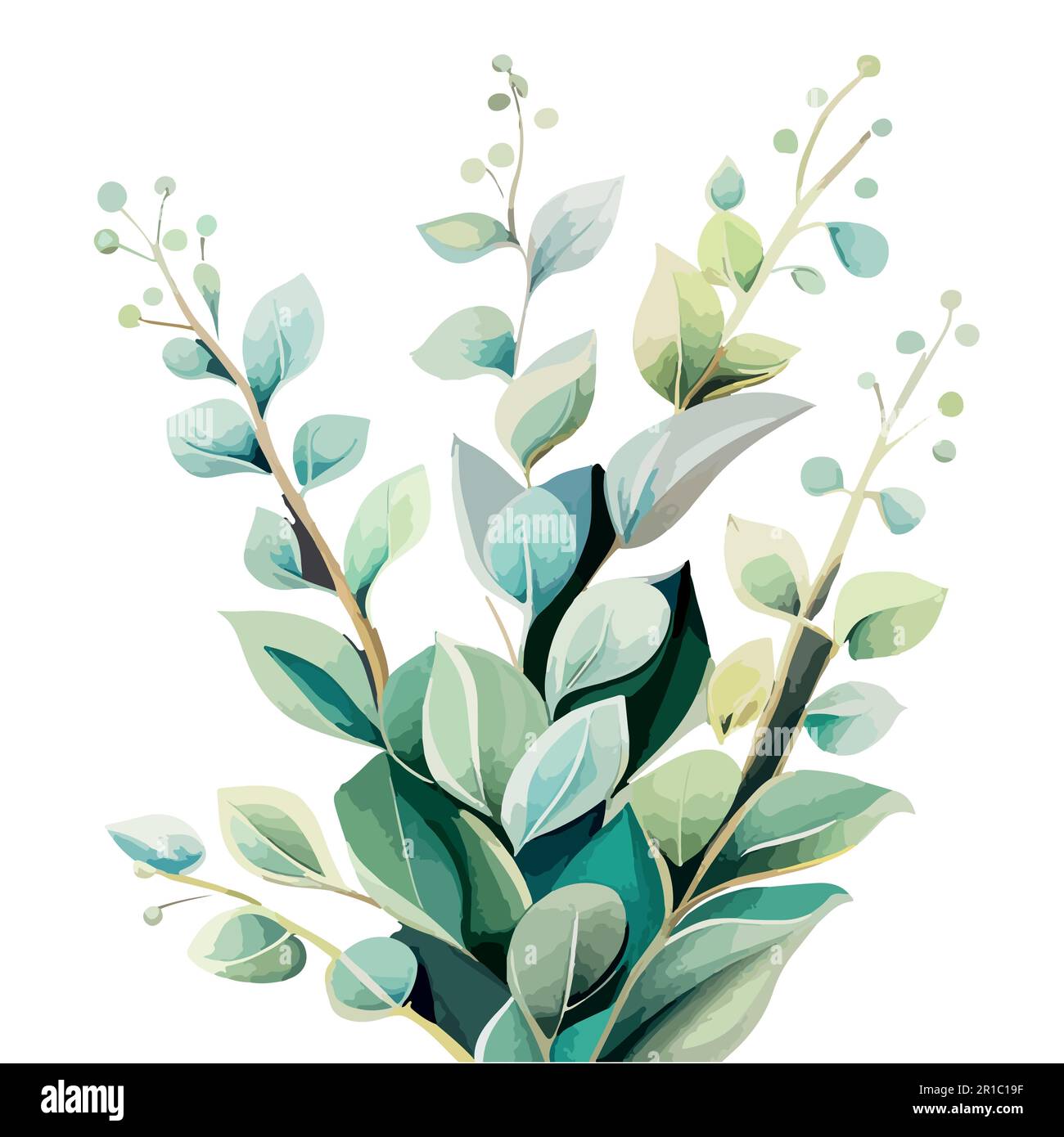 Australian gum tree white background Stock Vector Images - Alamy