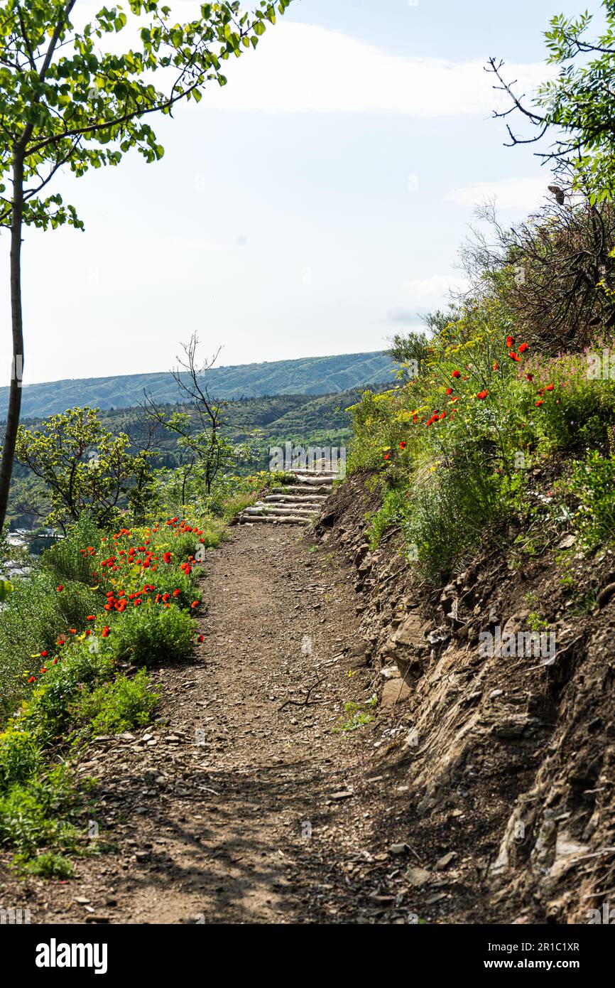 Hike path on the slope of Mtatsminda mount in city downtown Stock Photo ...