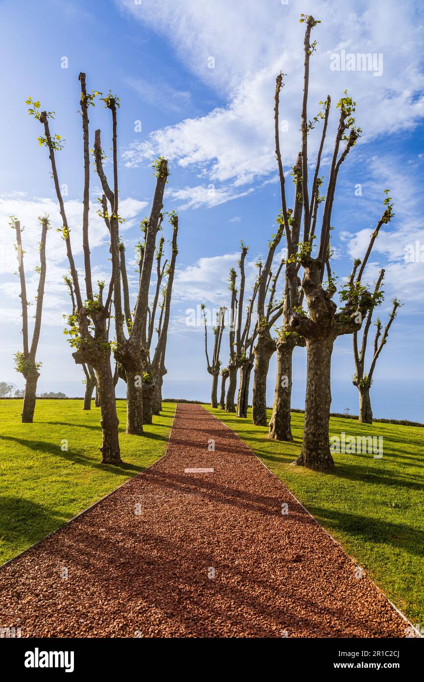 Red path in the park surrounded by green grass and trimmed trees with ...