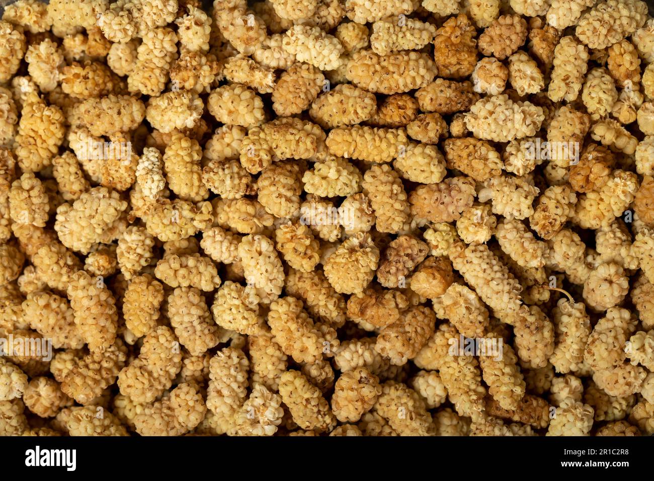 Dried mulberry. Dried white mulberry fruits closeup food background ...