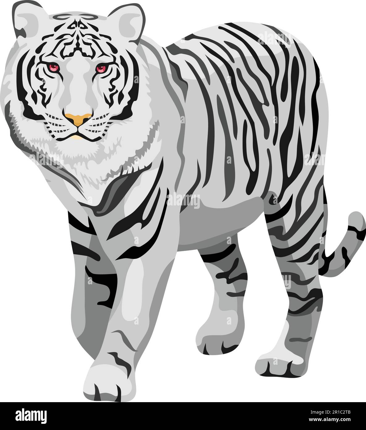 White Tiger Mammal Animal Vector Stock Vector Image & Art - Alamy