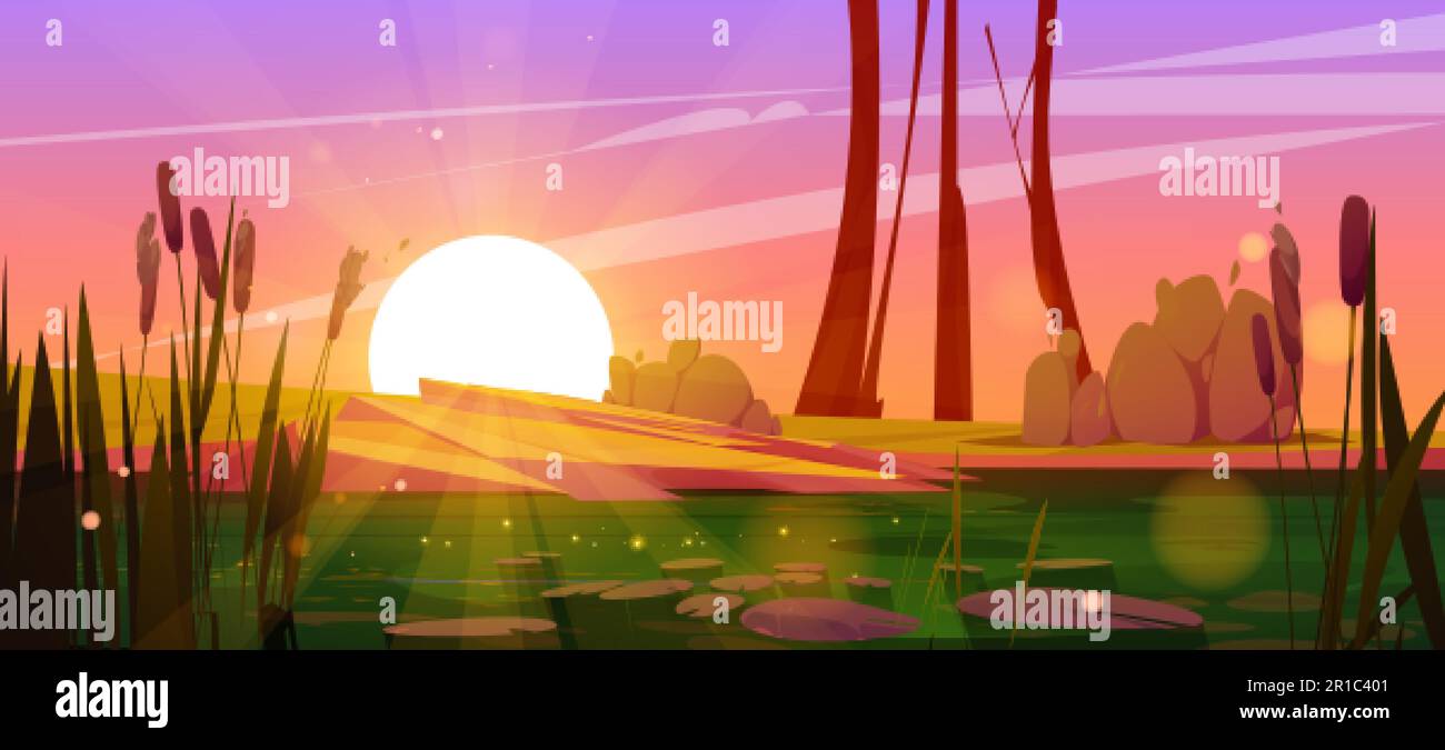 Green swamp and cattail near lake, sunset vector background. Pond in ...
