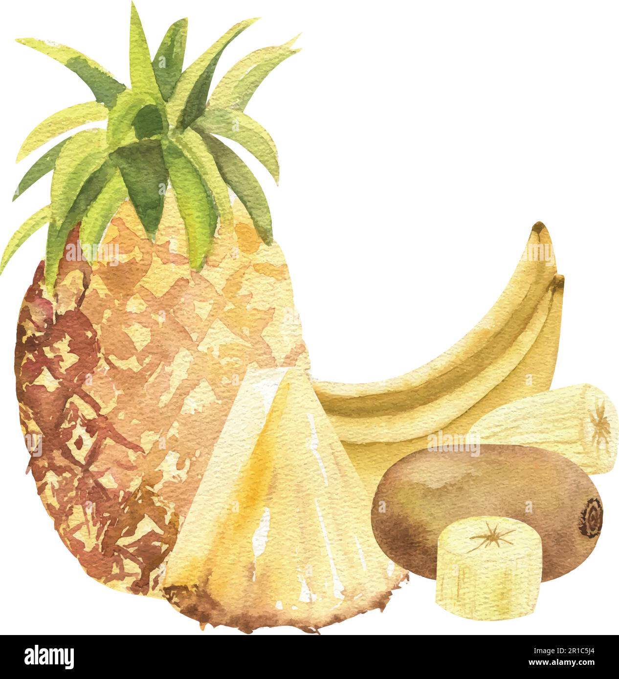A set of tropical fruits, pineapples, kiwi, banana slices,highlighted ...