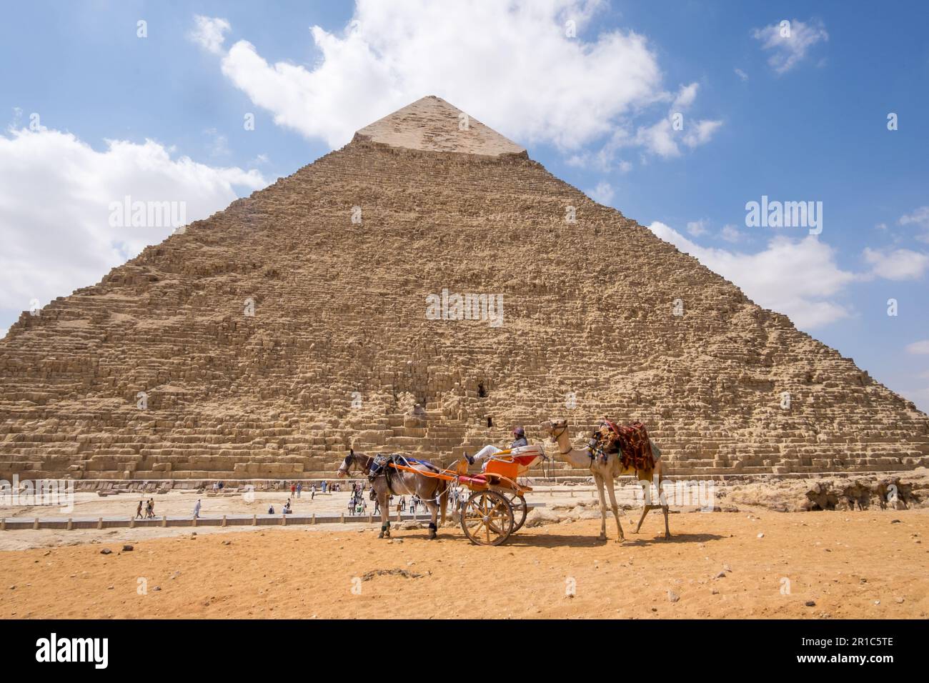 Horse-drawn carriage and camel next to Khafre's pyramid in Cairo, Egypt ...
