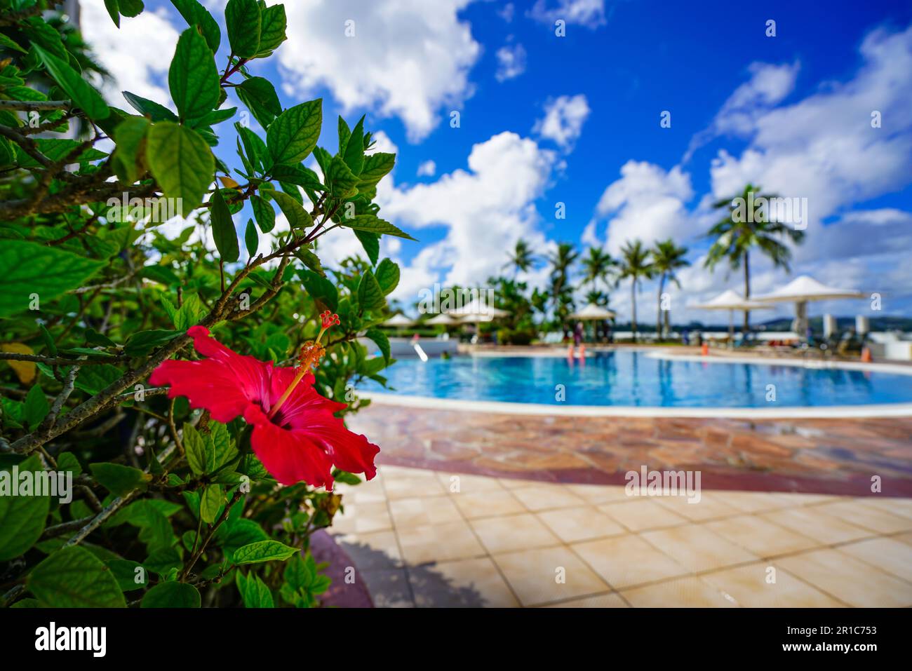 Swimming pool scenery at a hotel in Guam Stock Photo - Alamy