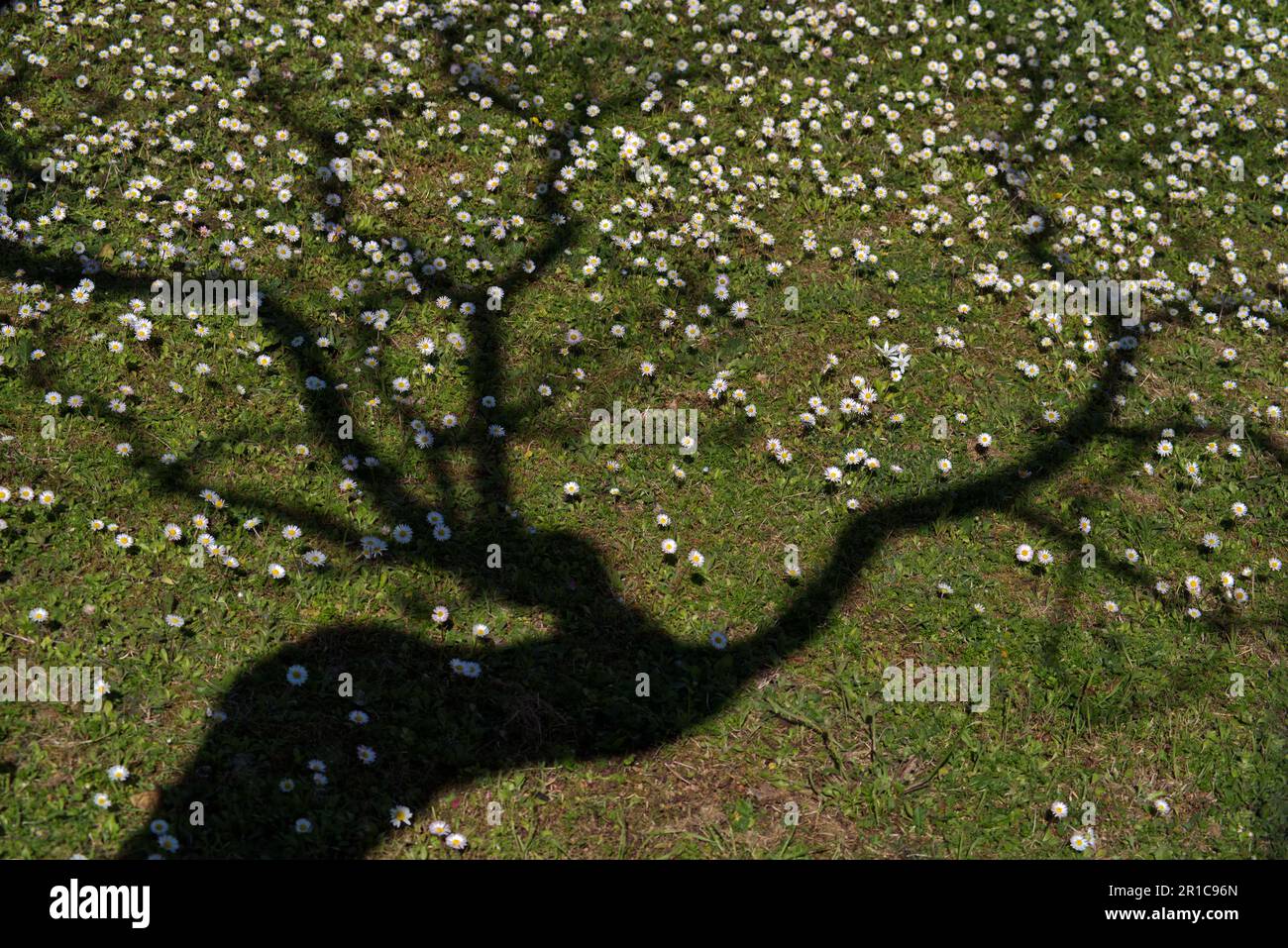 Ottica hi-res stock photography and images - Alamy