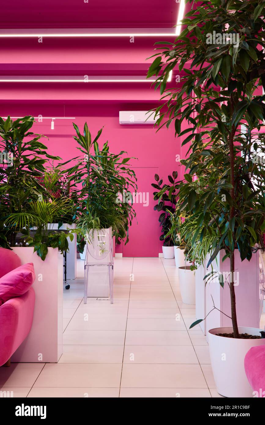 Modern pink interior with lots of plants Stock Photo - Alamy