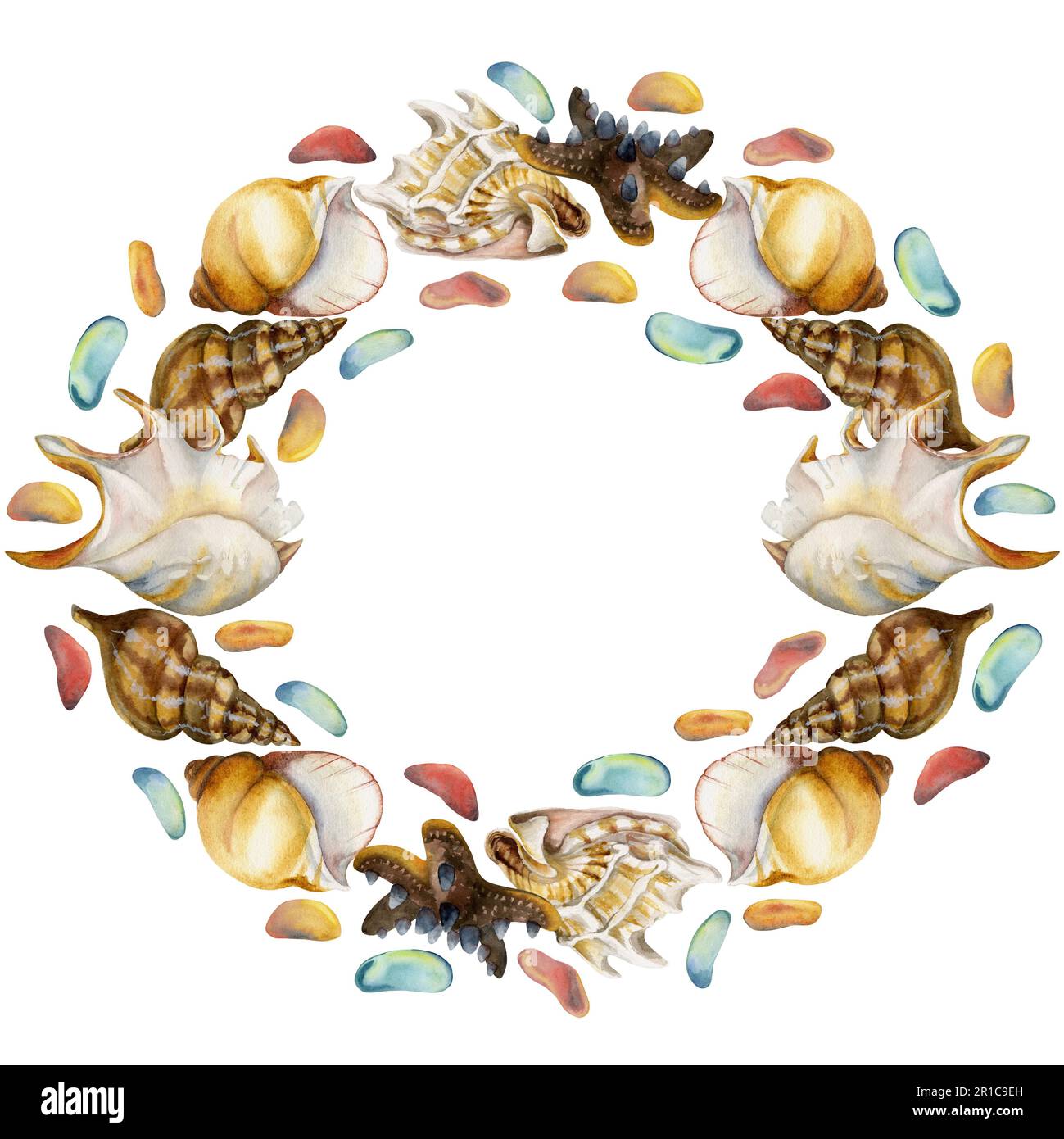 Hand drawn watercolor exotic sea shells and colorful glass, starfish ...