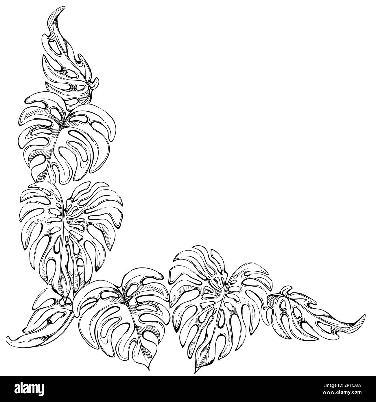 Hand drawn vector ink exotic monstera leaves and hibiscus flowers ...