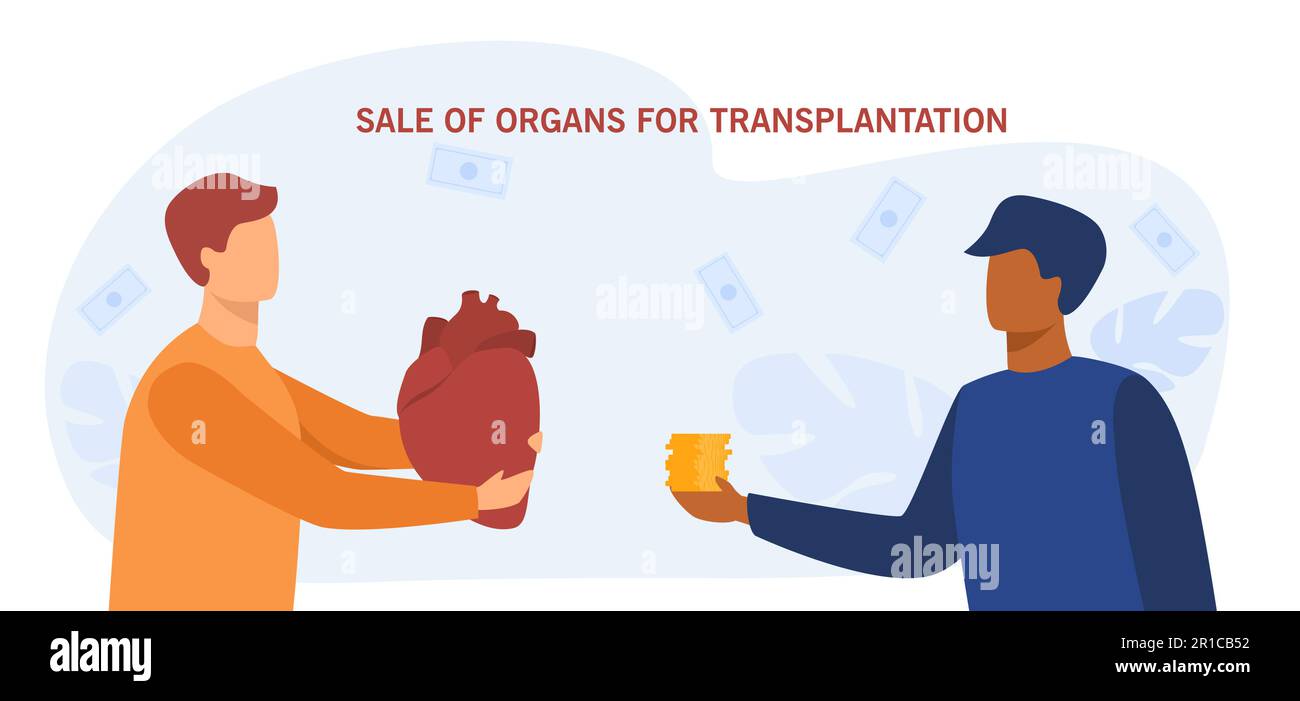 Human organs flat design hi-res stock photography and images - Alamy