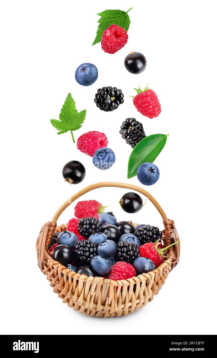 mix of blackberry blueberry raspberry black currant in wicker basket ...