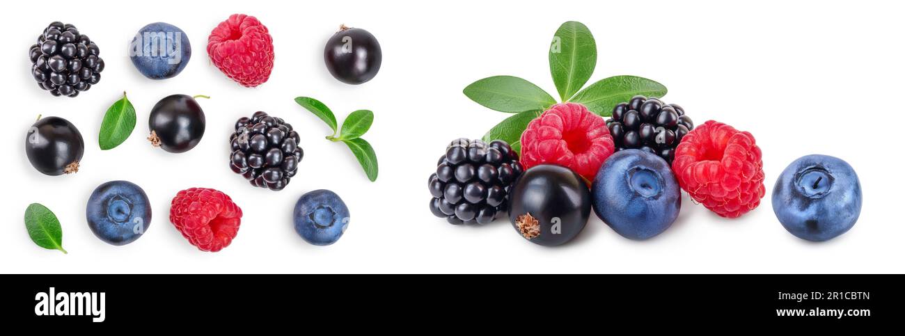 mix of blackberry blueberry raspberry isolated on white background. Top ...