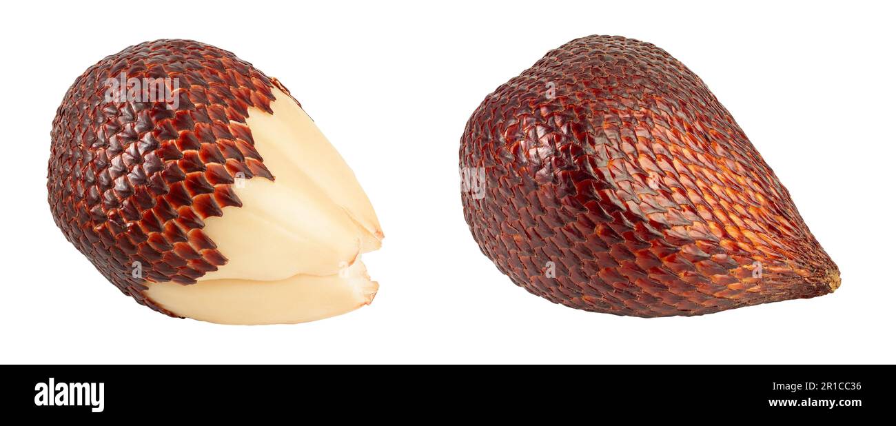 Salak snake fruit isolated on white background with full depth of field ...