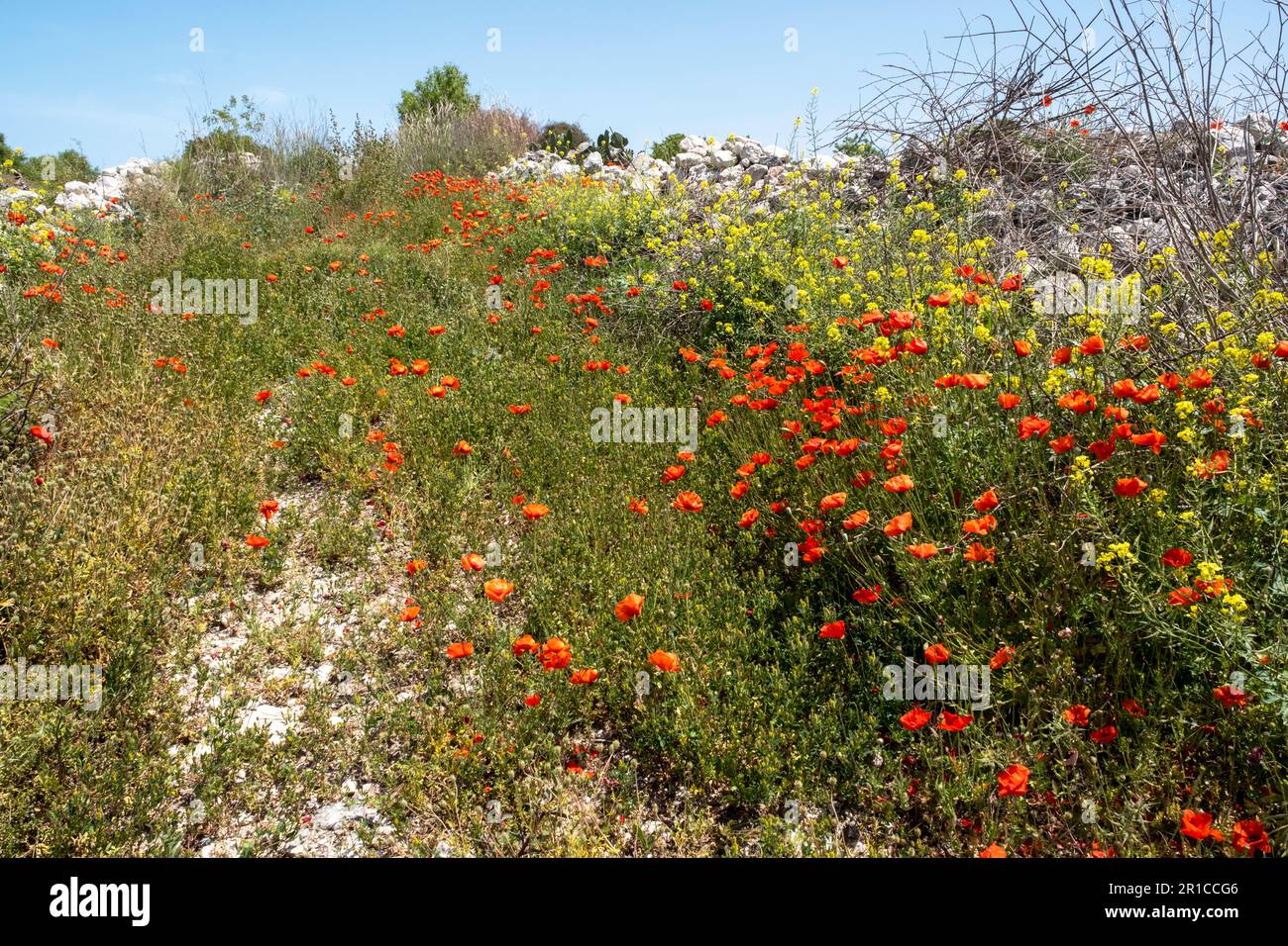 Cyprus countryside hi-res stock photography and images - Alamy