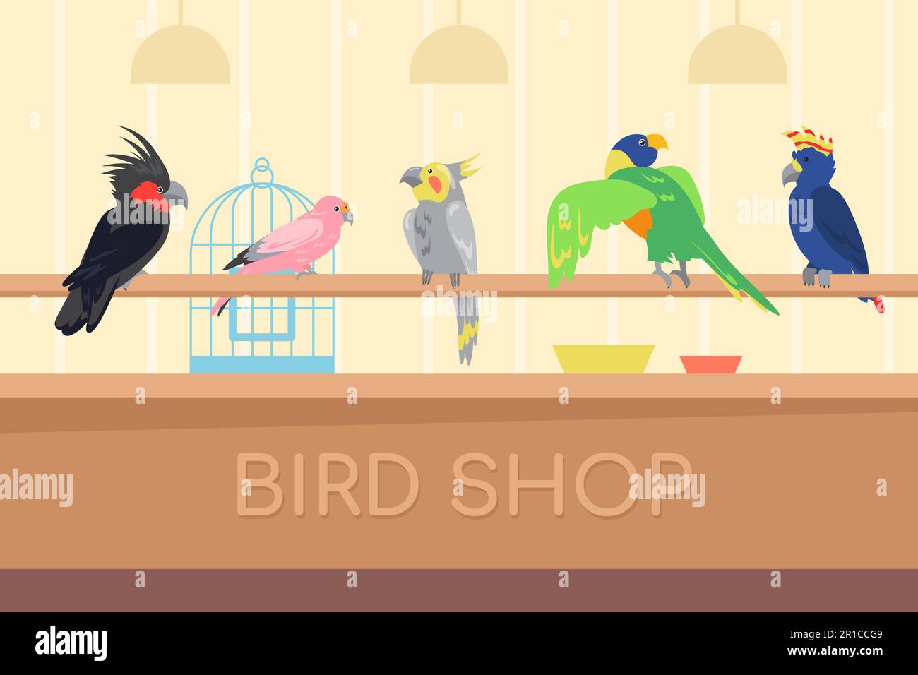 Collection of multicolored parrots in bird shop Stock Vector Image ...