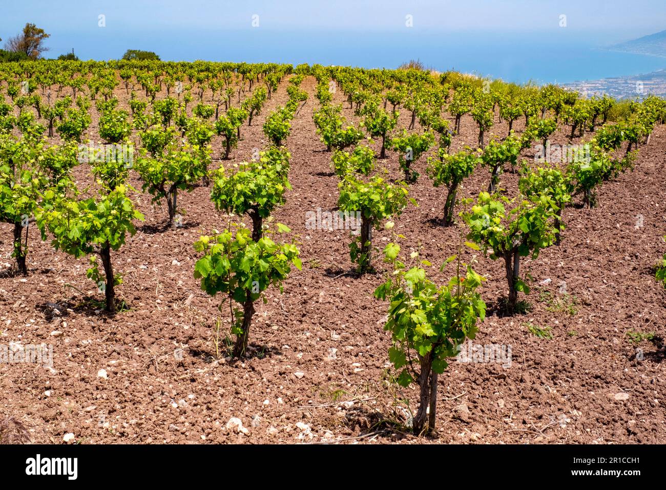 Agro tourism hi-res stock photography and images - Alamy