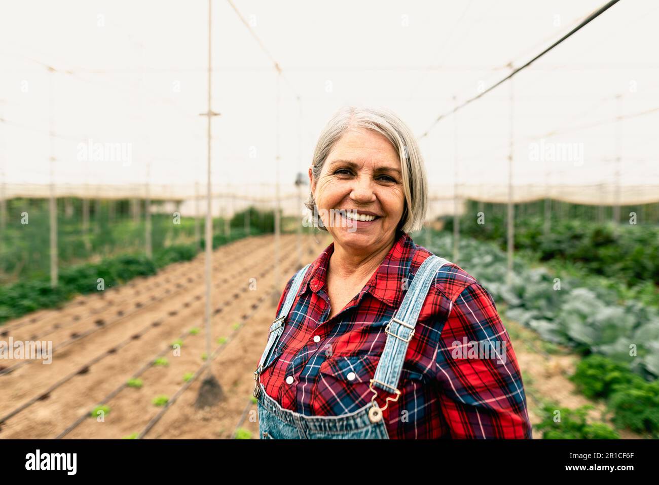 Happy senior farmer smiling at the camera while working inside ...