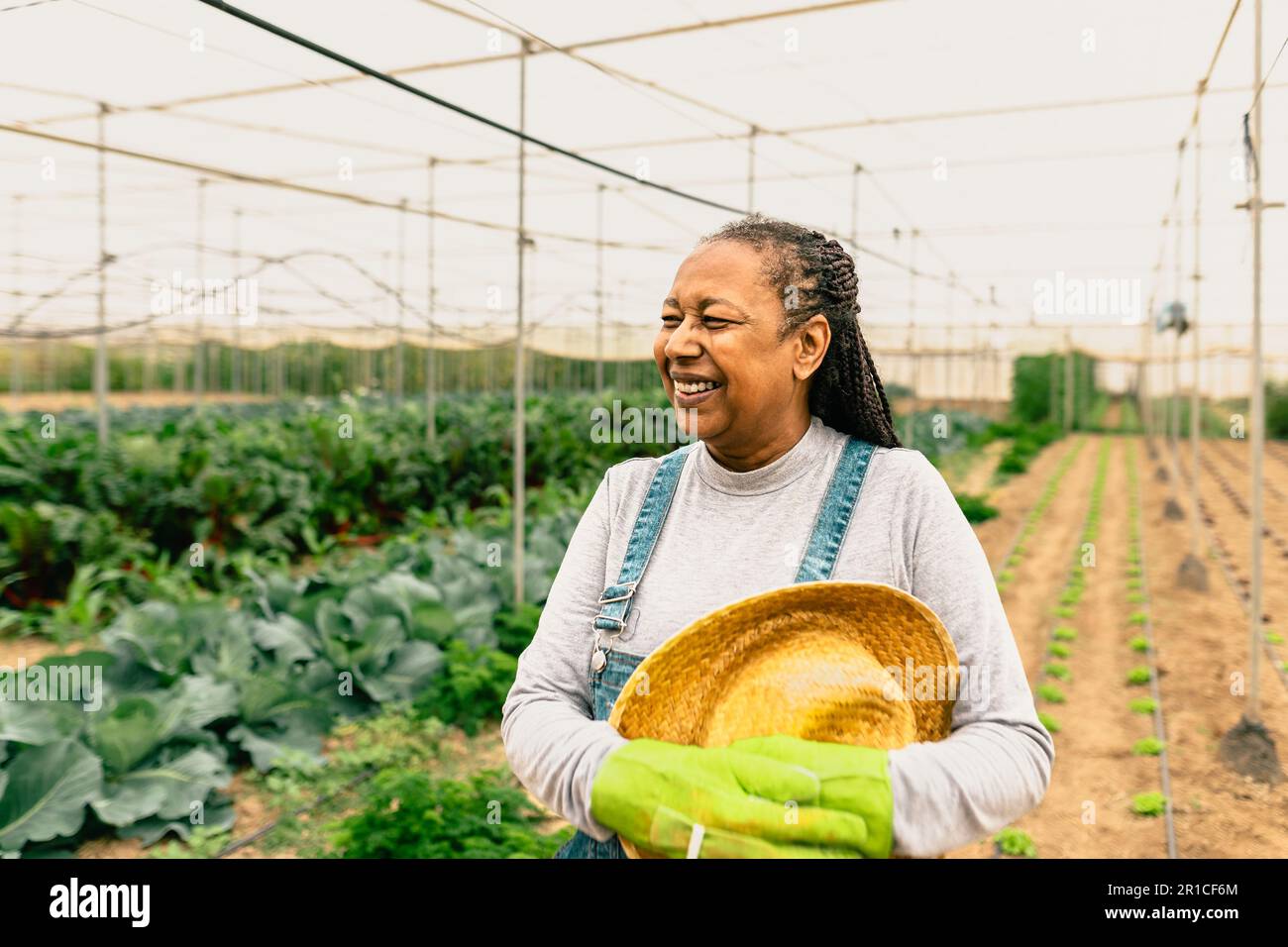 Happy African farmer working inside agricultural greenhouse - Farm ...