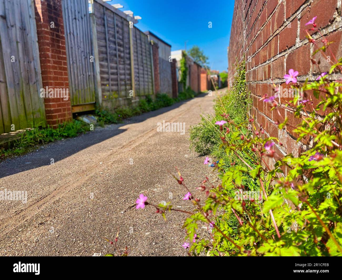 Pathway at back of houses Stock Photo - Alamy