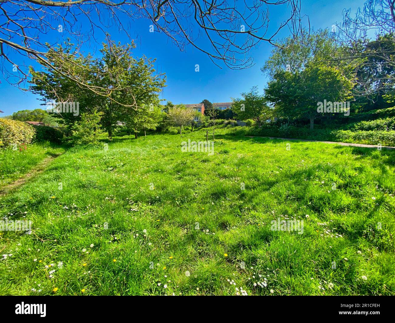 Grass day hi-res stock photography and images - Alamy
