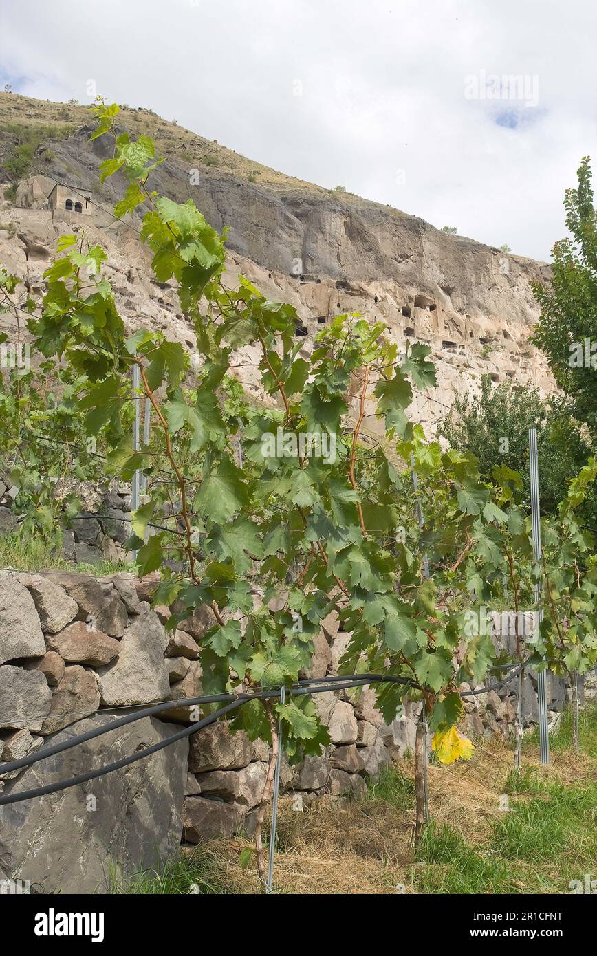 Good side hi-res stock photography and images - Alamy