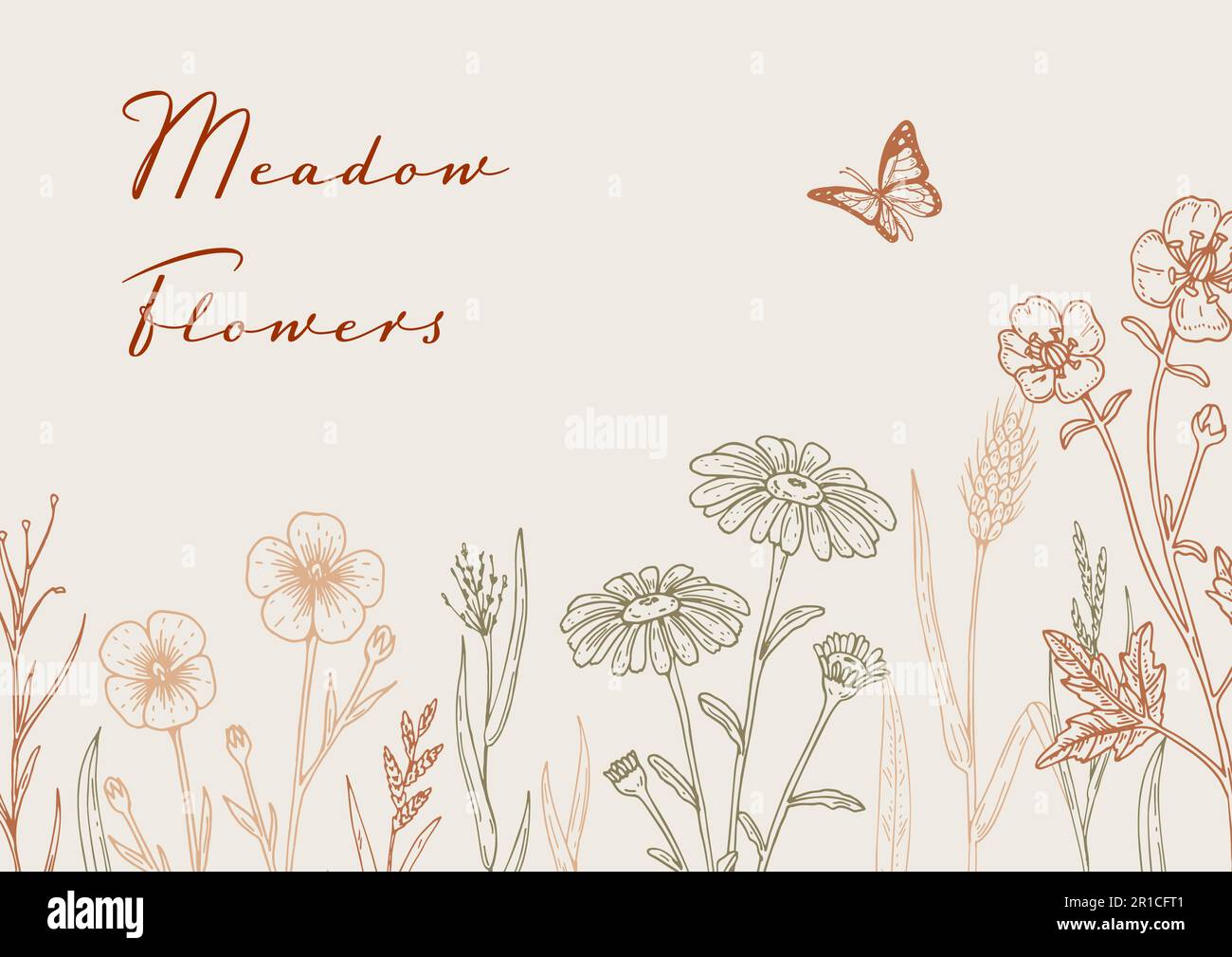 Summer frame design hi-res stock photography and images - Alamy