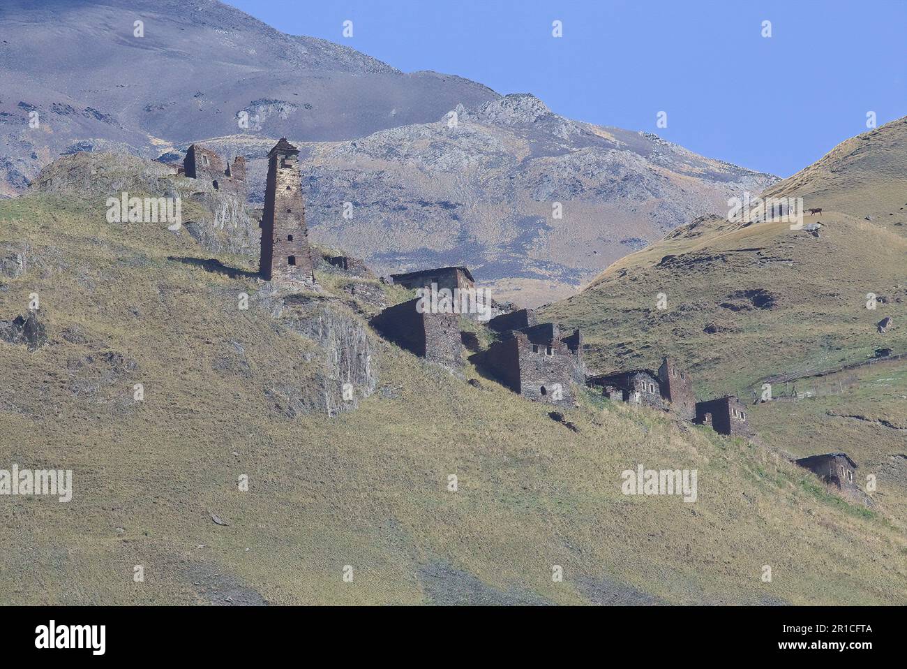 Watch they neighbour (and the one beyond even more so Stock Photo - Alamy