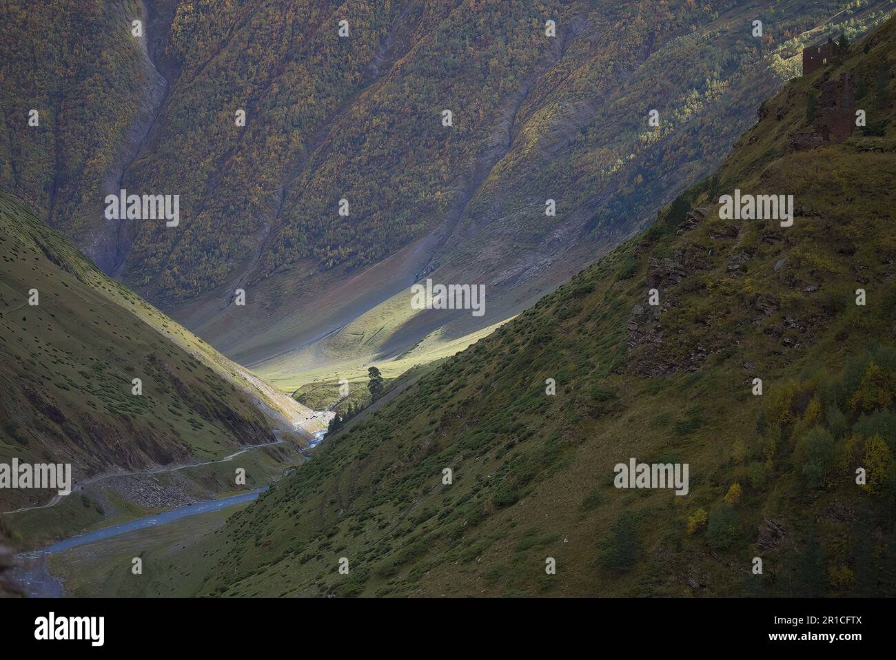 Watch they neighbour (and the one beyond even more so Stock Photo - Alamy
