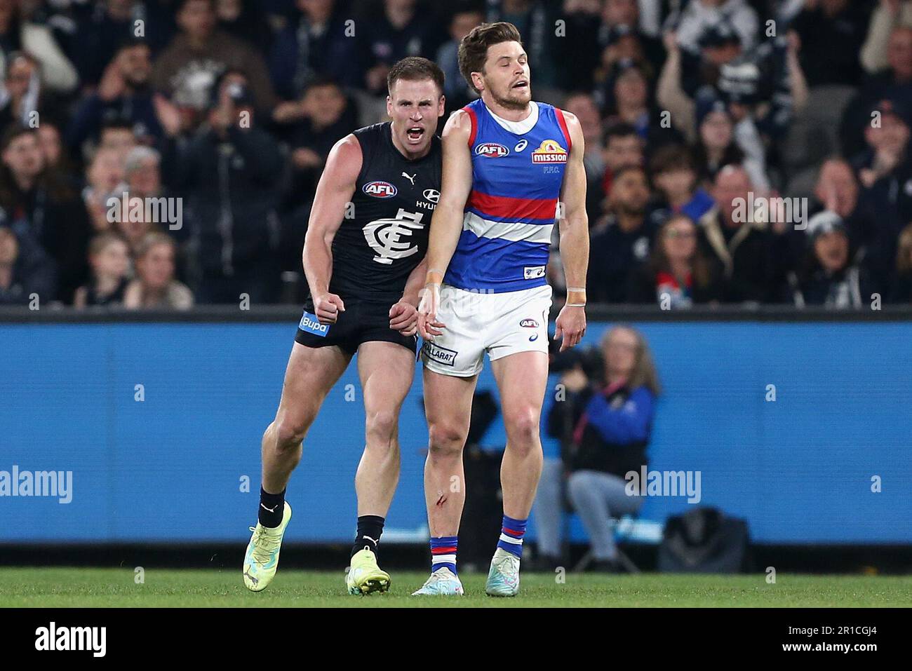 Matthew Owies of the Blues celebrates a goal during the AFL Round 9 ...