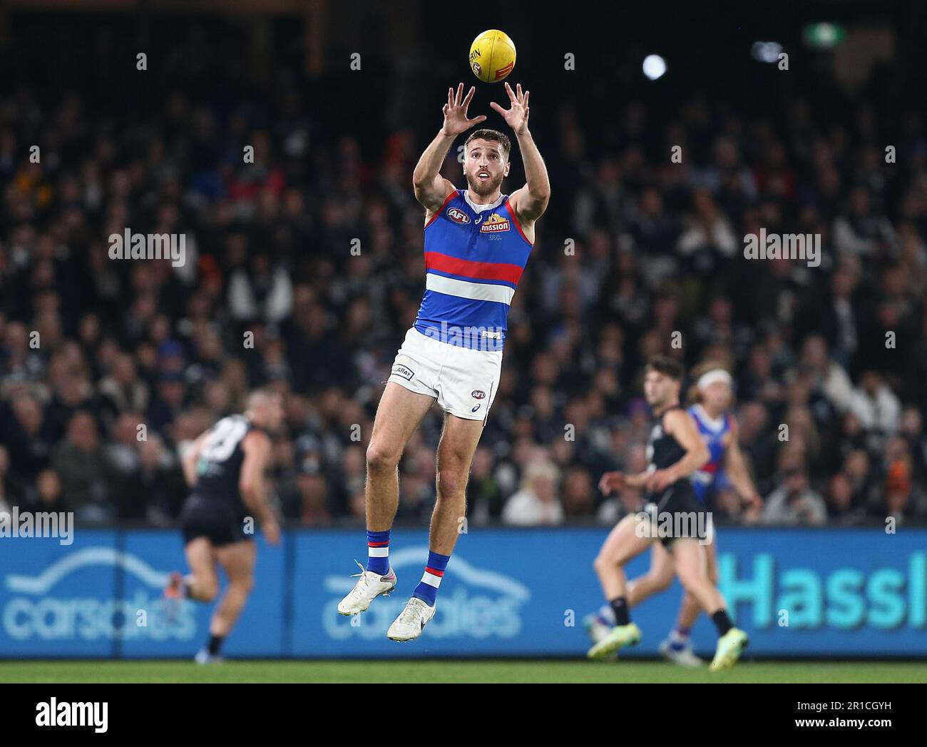 Marcus Bontempelli of the Bulldogs takes a mark during the AFL Round 9 ...