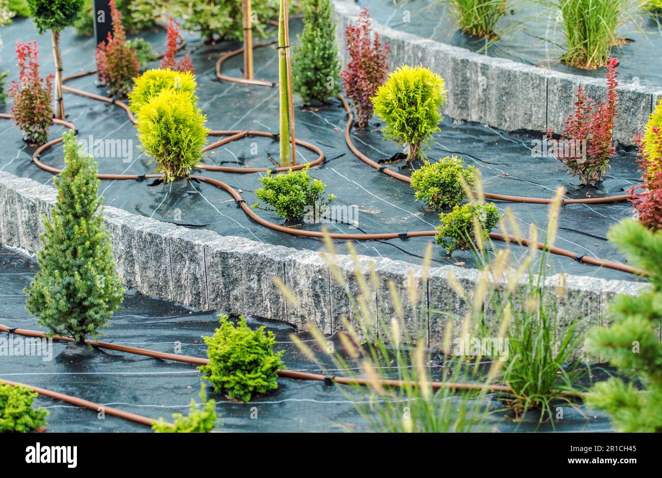 Landscaping Industry Theme. Newly Built Backyard Garden Drip Irrigation ...