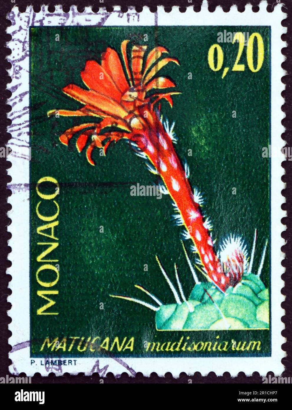 Desert foot ball hi-res stock photography and images - Alamy