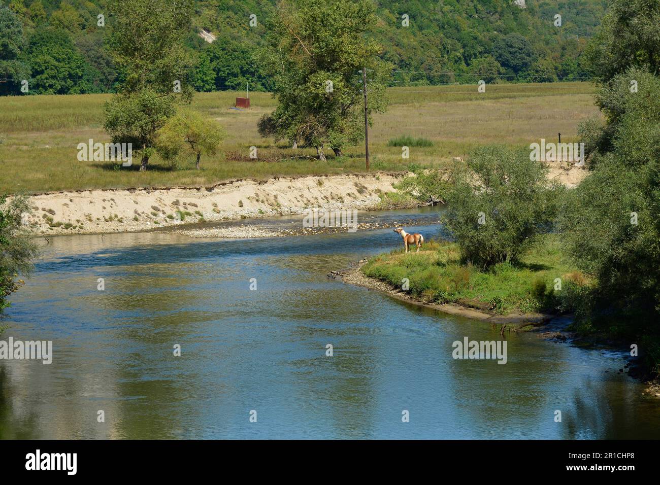Horse at riverbank hi-res stock photography and images - Alamy