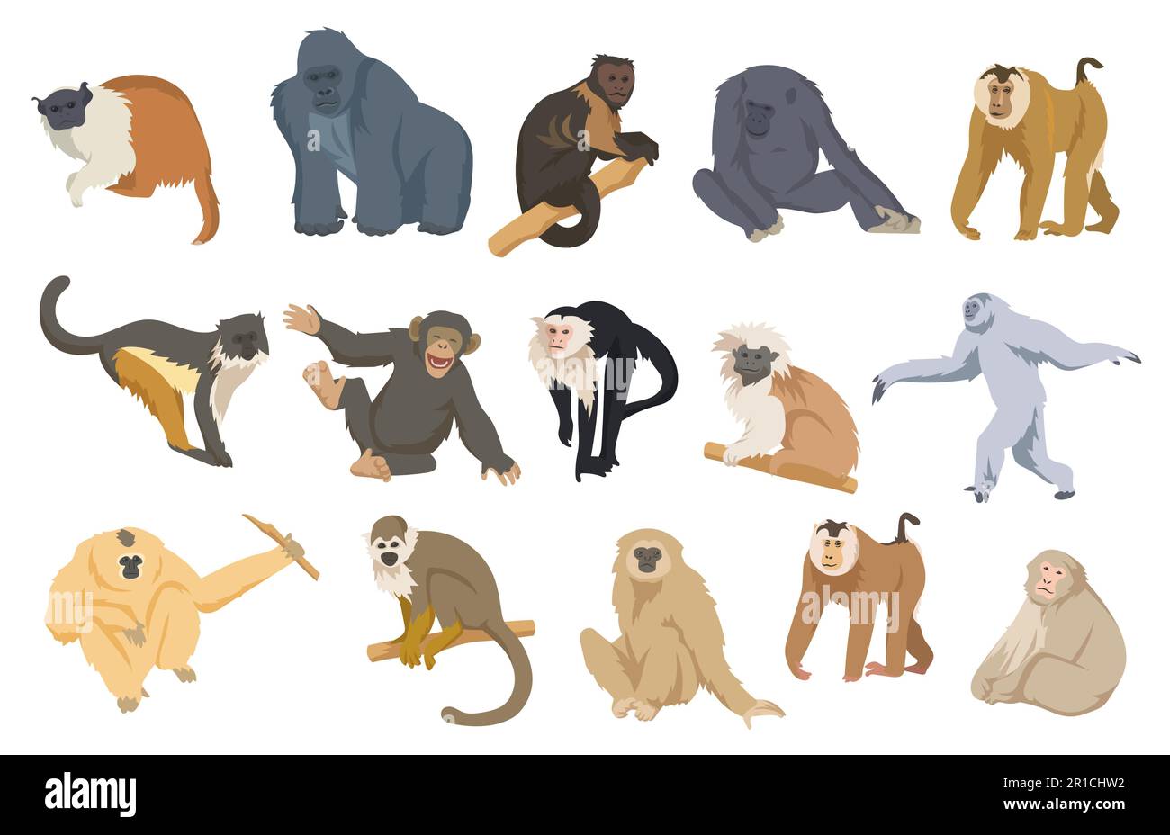 Cartoon monkey set vector illustration Stock Vector Image & Art - Alamy