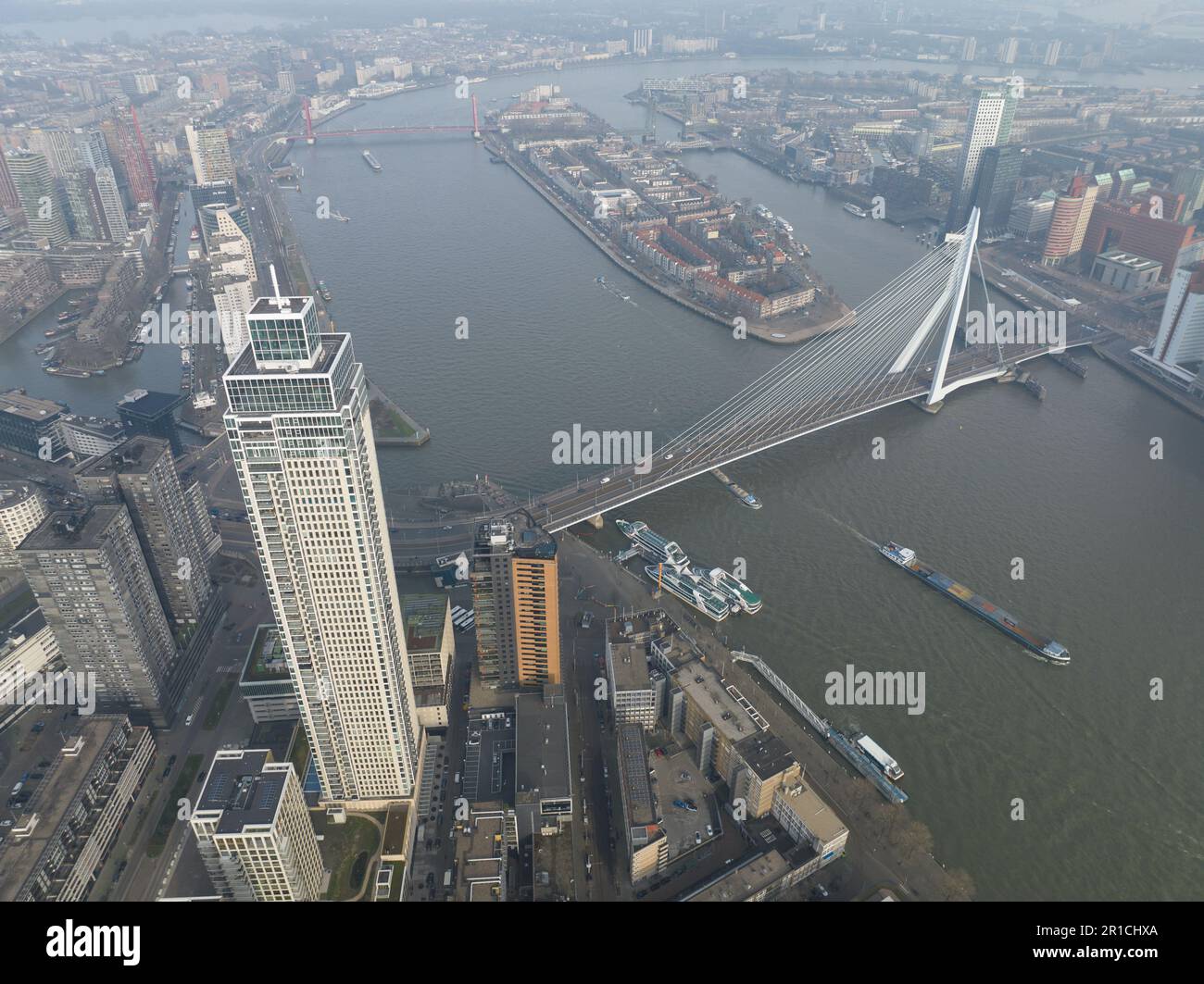 Marvel at the striking contrast between the iconic Erasmus bridge and ...