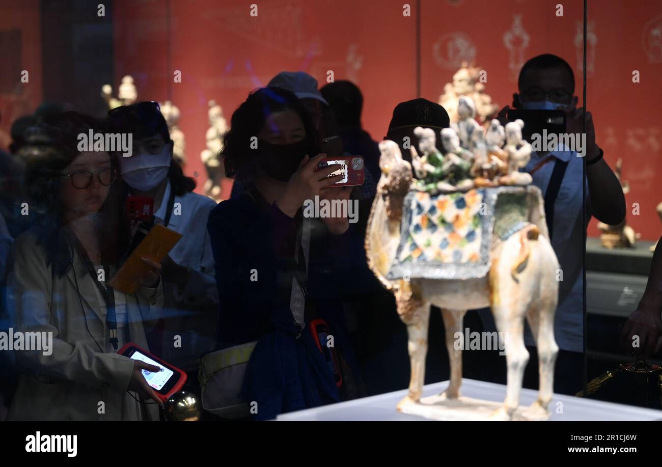 Tang camel musicians hi-res stock photography and images - Alamy