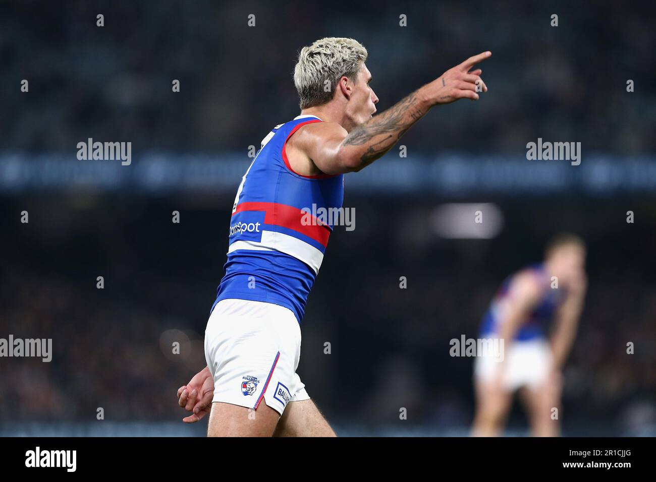 Rory Lobb of the Bulldogs celebrates a goal during the AFL Round 9 ...