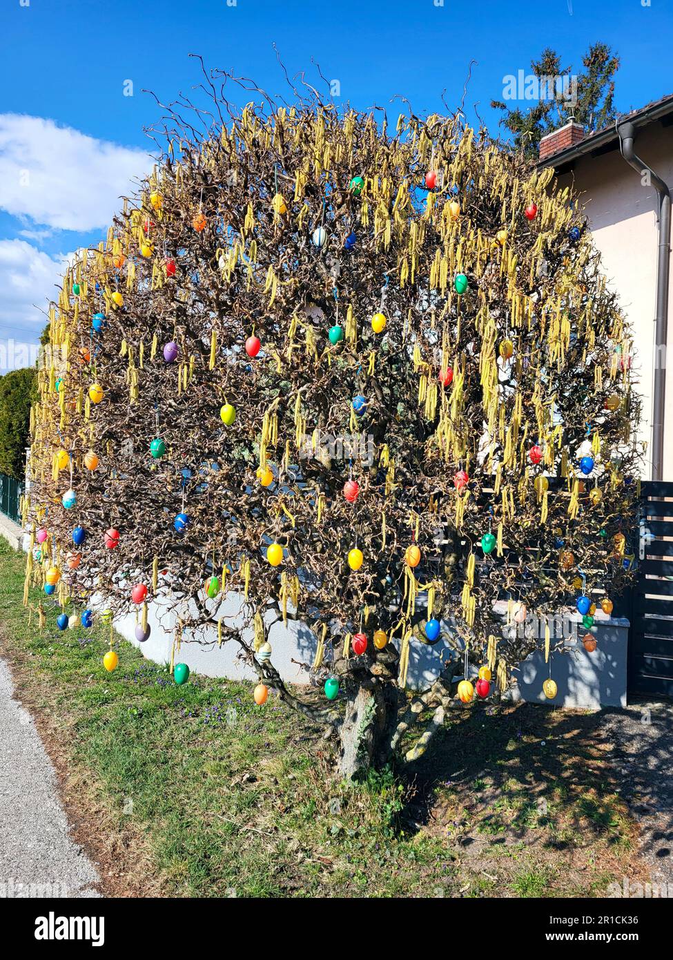 Austria, tree modeled in the shape of a sphere and decorated with ...