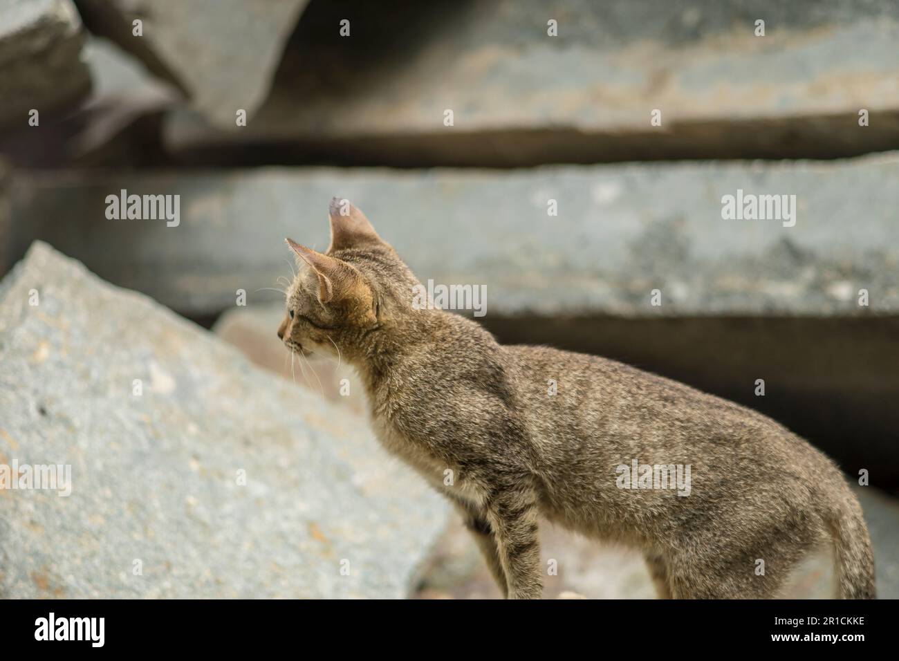 Handicraft tools are elaborately and beautifully made by Vietnamese ...