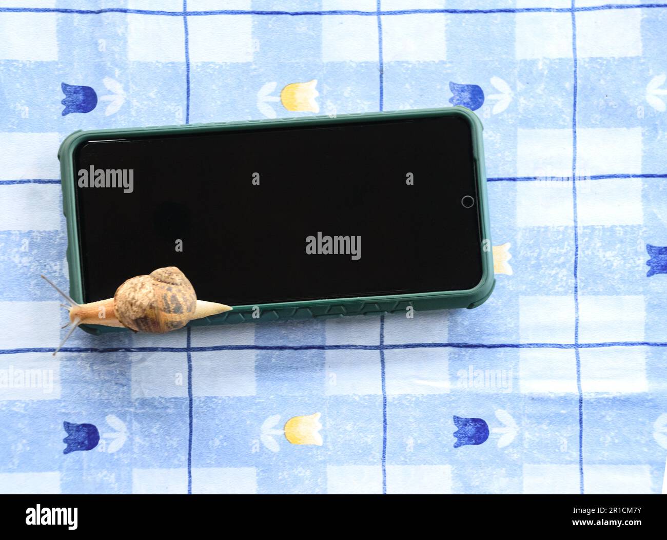 Funny snail crawling and crossing cell phone with blue background Stock ...