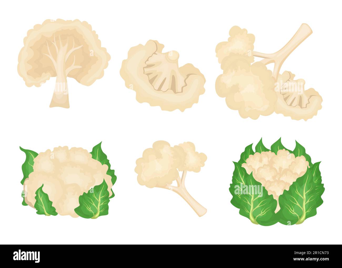 Cartoon cauliflower vector illustrations set Stock Vector Image & Art ...