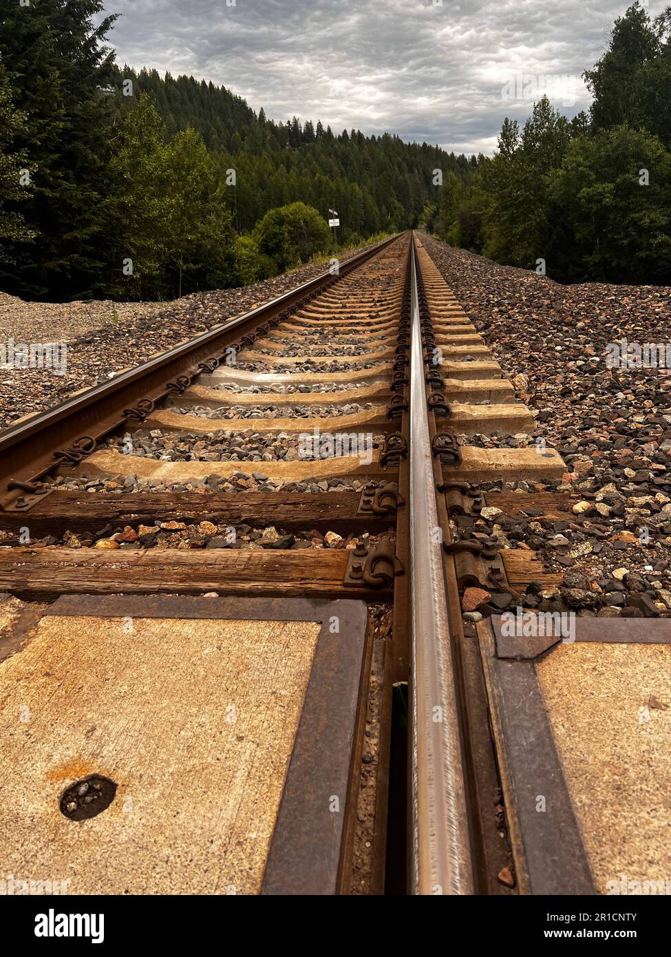 A vertical shot of a pair of railroad tracks in Whitefish Montana ...