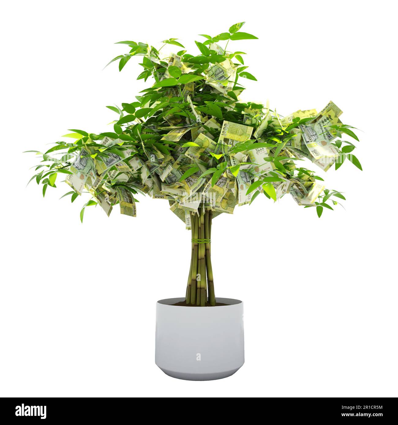 Yemeni Rial tree. 3d rendering of Money on tree isolated on white ...