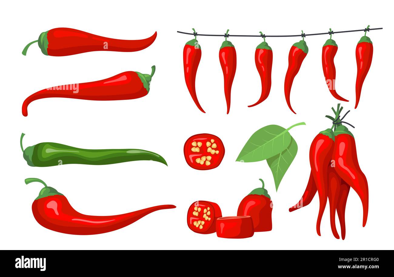Chili bunch Stock Vector Images - Alamy