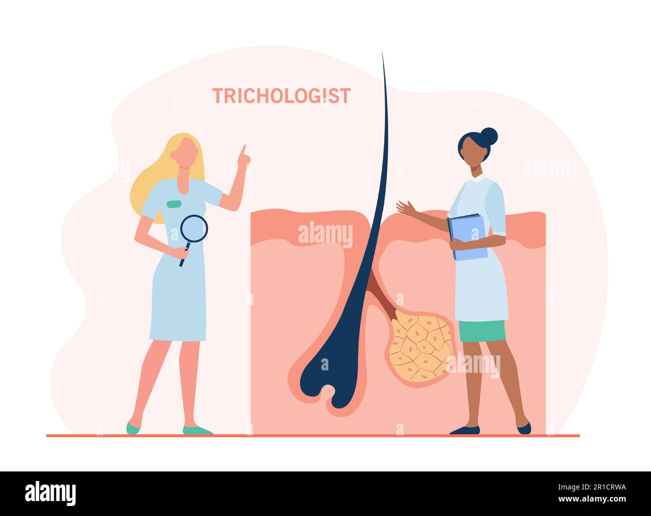 Tiny trichologists studying hair follicle Stock Vector Image & Art - Alamy