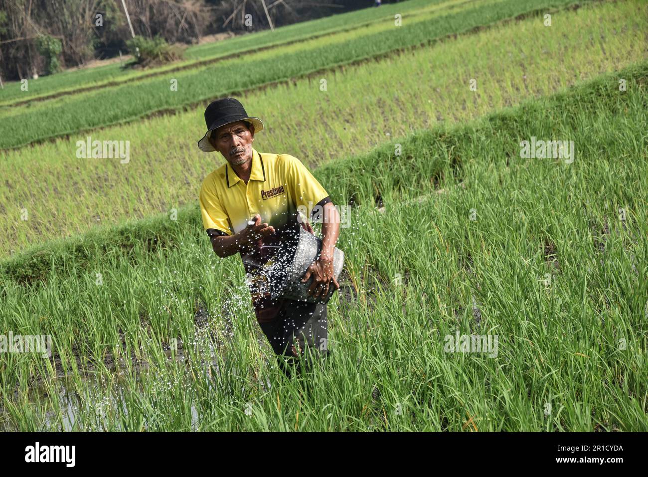 Mranggen hi-res stock photography and images - Alamy