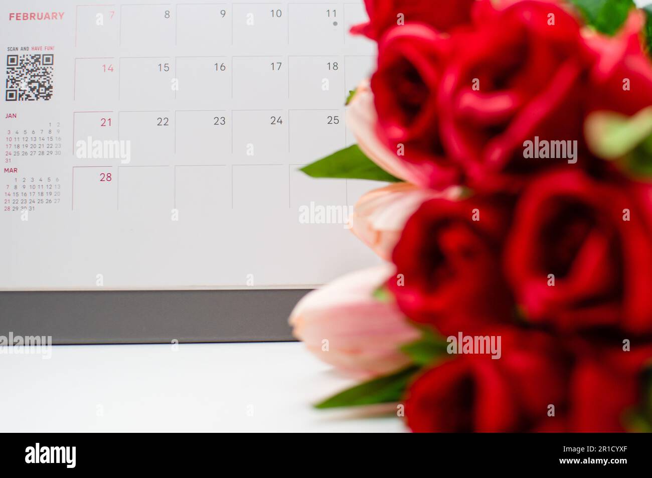 The calendar of February with blurred rose flower on the white desk ...