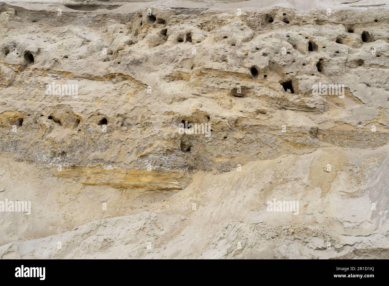 Empty nests, burrows of birds in the sand cliffs. Numerous holes of ...